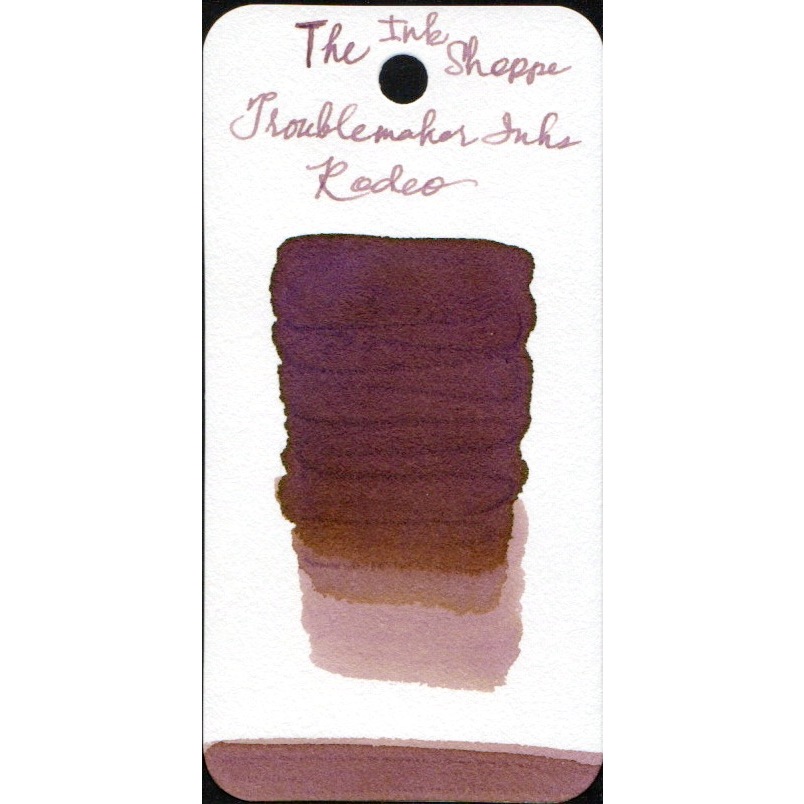 Troublemaker Ink Fountain Pen Ink Sample (3mL) | Shopee Philippines