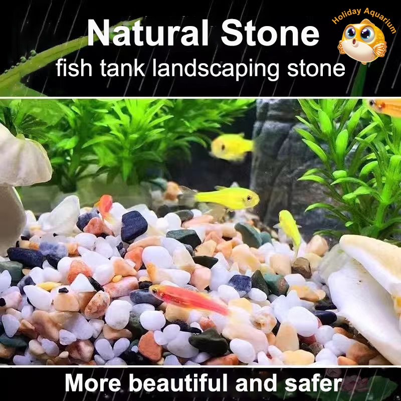 Aquarium Colorful Rock White Pebbles Fish Tank Bottom Decoration Natural Pebbles | Shopee ...