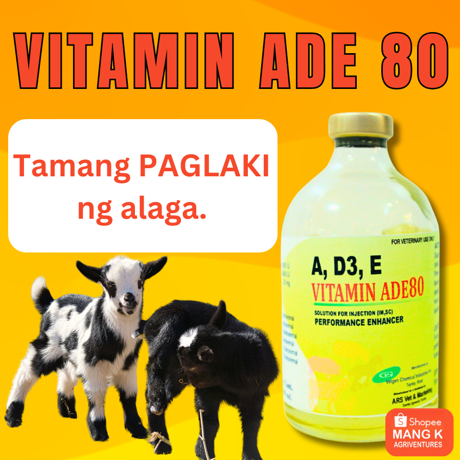 Vitamin ADE 80 100 ml | Performance Enhancer | Injectable for Animals ...