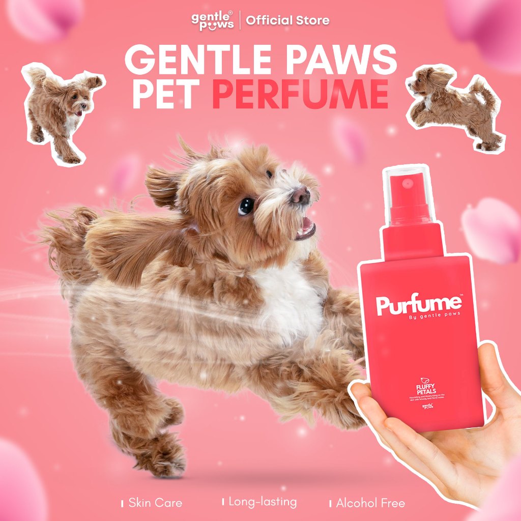 Gentle Paws Pet Cologne for Dogs and Cats Anti-Tick and Flea Dog ...