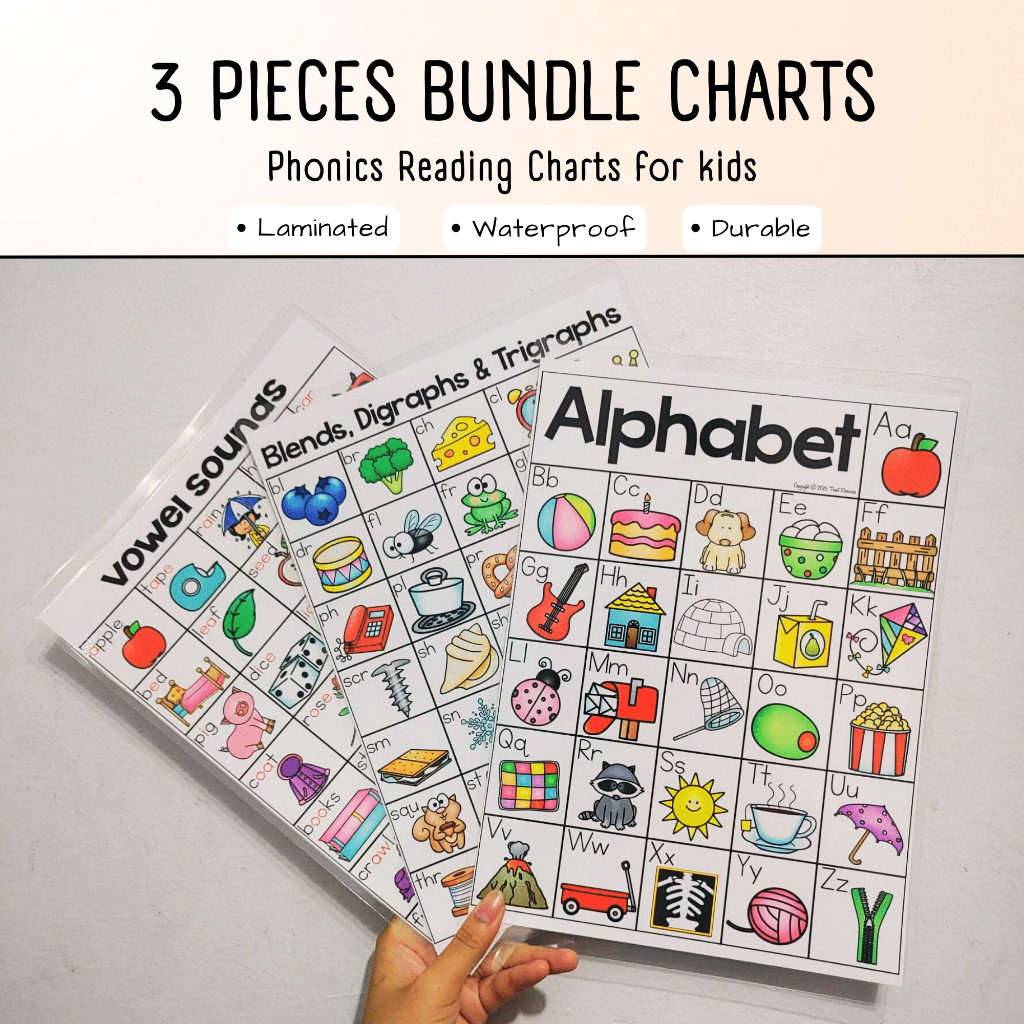 Phonics Reading Charts for kids- educational ( laminated A4 size ...