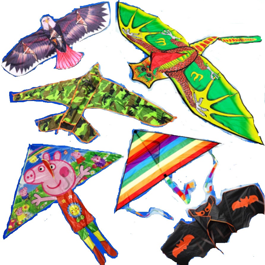 Eagle Kite Novelty Animal Kite Gift 30 meter kite line Outdoor beach ...