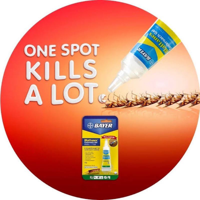 Bayer Blattanex Cockroach Gel | Shopee Philippines