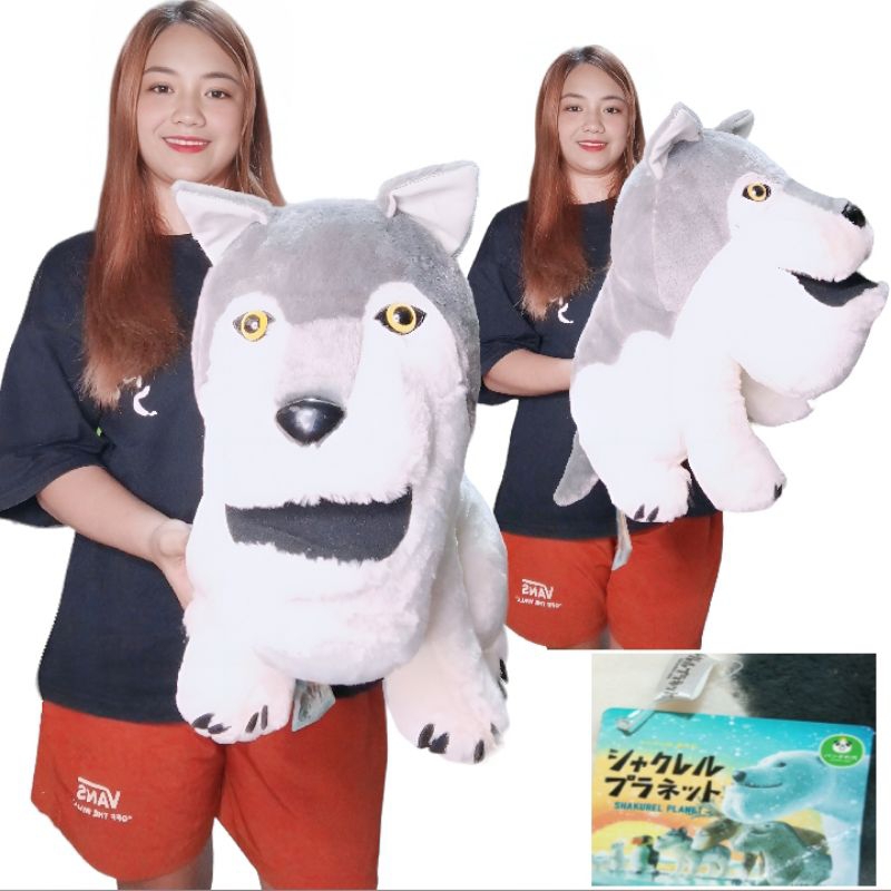 42cm husky shakurel planet stuffedtoys | Shopee Philippines