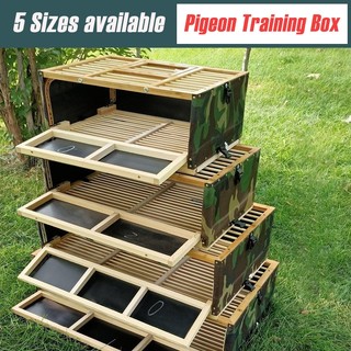 Taiwan Training Box for Pigeon Medium Pigeon Foldable Training Box Wood ...