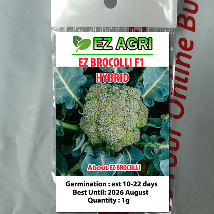 lj agri brocolli brocoli broccoli seeds hybrid f1 | Shopee Philippines