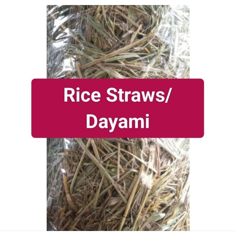 Shop dayami for Sale on Shopee Philippines