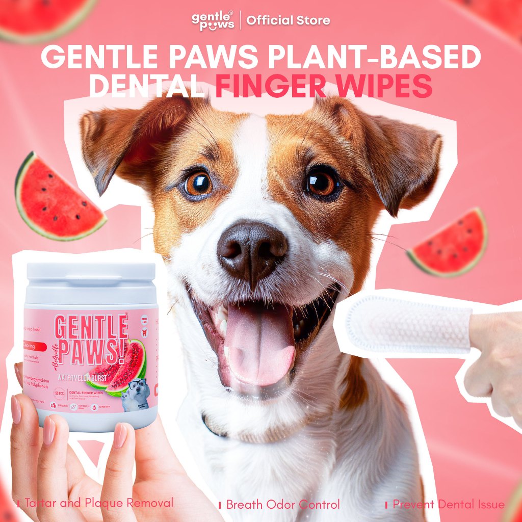 Gentle Paws Dog Wipes Pet Dental Wipes Dog Toothbrush Cat Tooth Brush ...