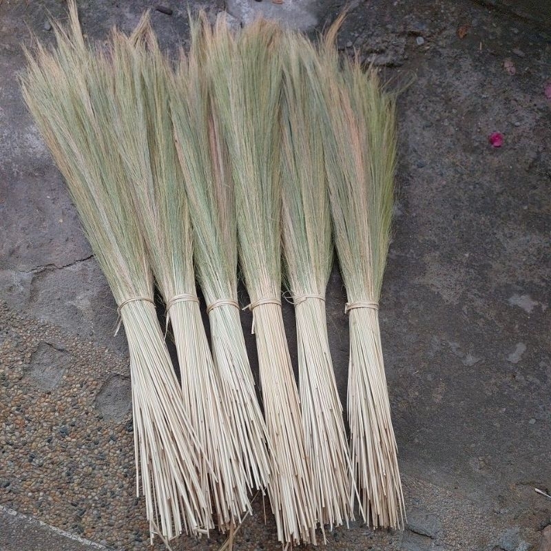 TIGER GRASS WALIS TAMBO DECORATION 1 tali | Shopee Philippines