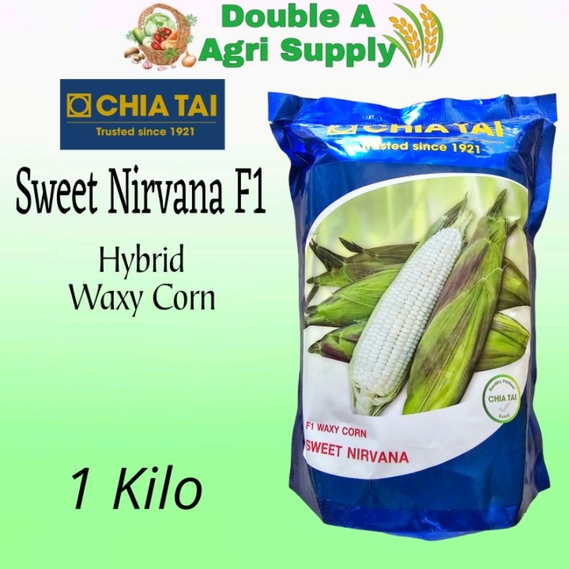 Sweet Nirvana F1 Hybrid Waxy Corn - Chia Tai Seeds | Shopee Philippines