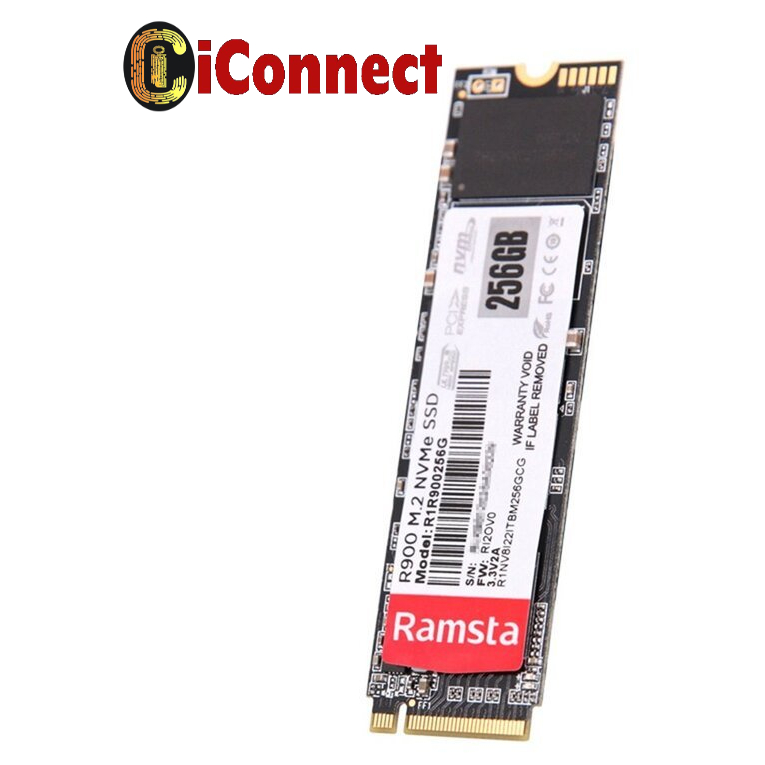 RAMSTA NVME 256GB SSD M.2 R900 | Shopee Philippines