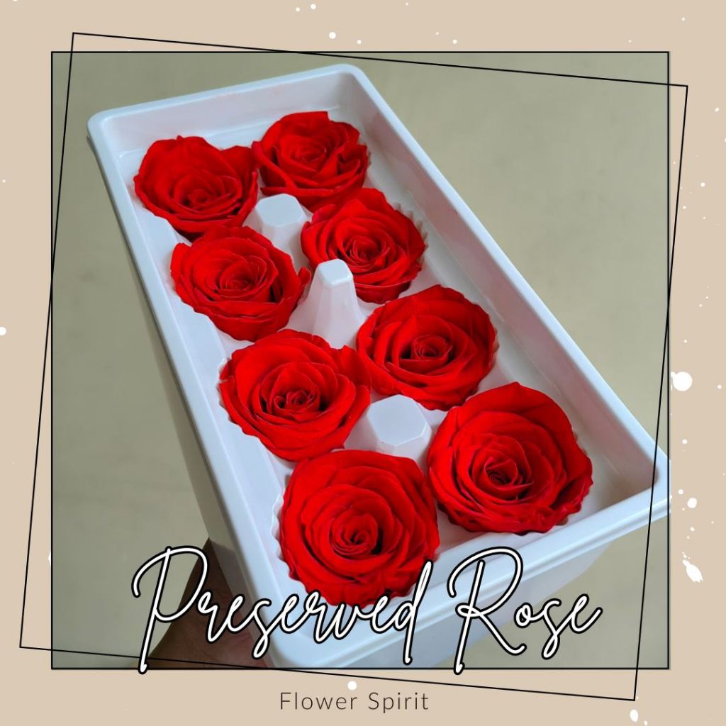 Dried Flowers Preserved Rose 6pcs 8pcs 10 Pcs 12 Pcs 21 Pcs Per