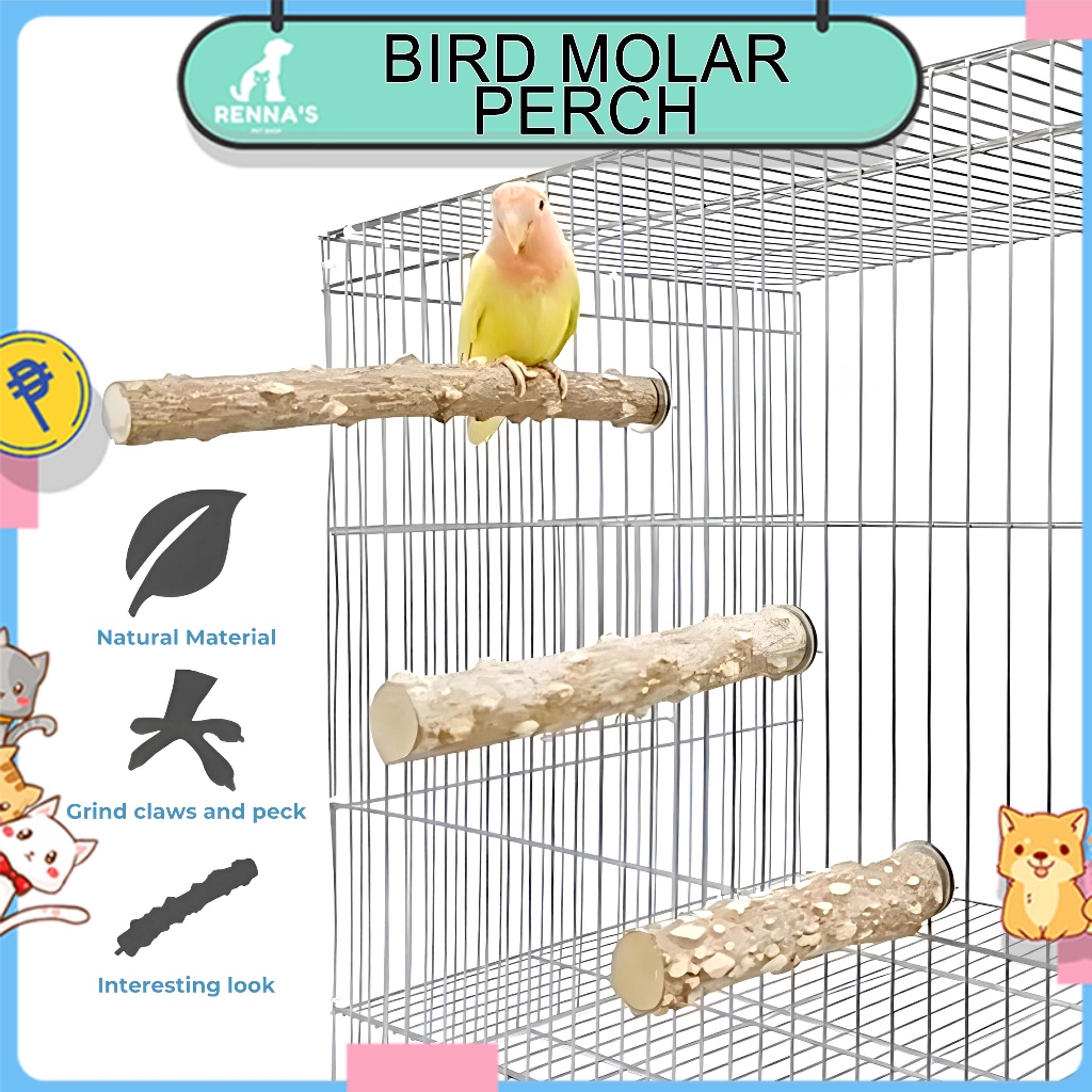 Renna's Bird Prickly Ash Wood Perch for Lovebirds Finches and other ...