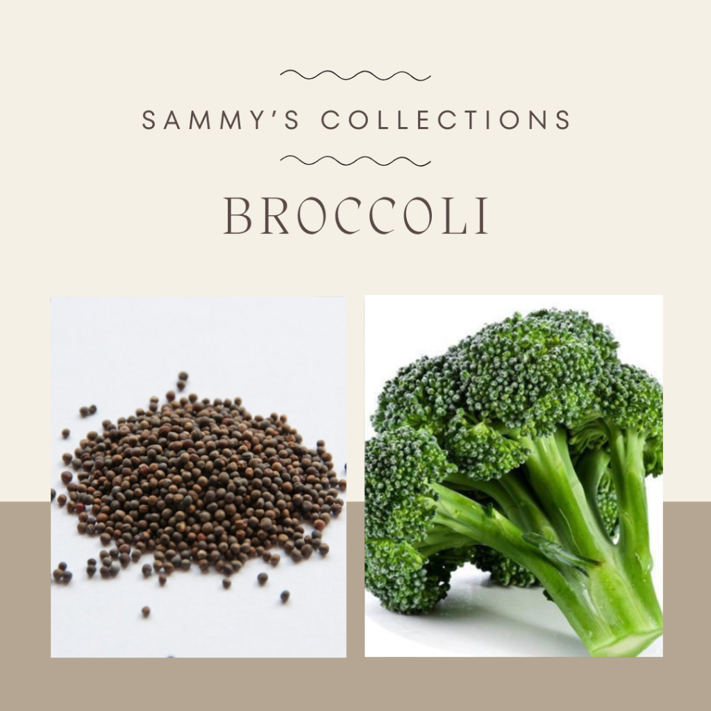 BROCCOLI-Seeds (10 seeds) for Planting / Gardening | Shopee Philippines