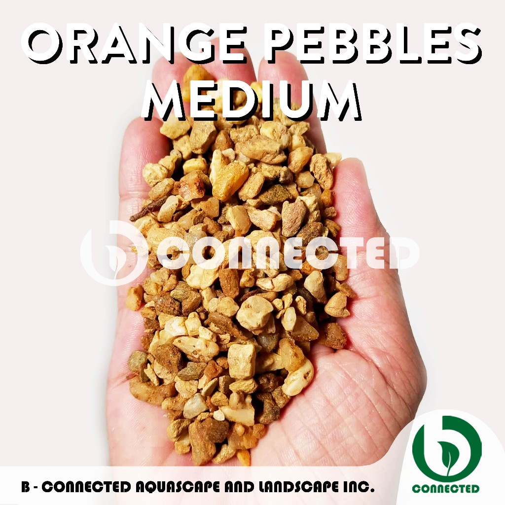 ORANGE PEBBLES STONE ROCK (MEDIUM) BY B-CONNECTED - INTERIOR / GARDEN ...