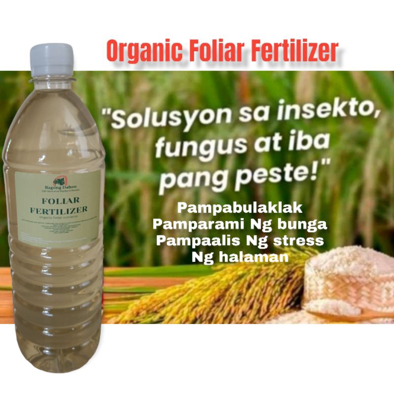 Foliar Ready to use 1000ml | Shopee Philippines