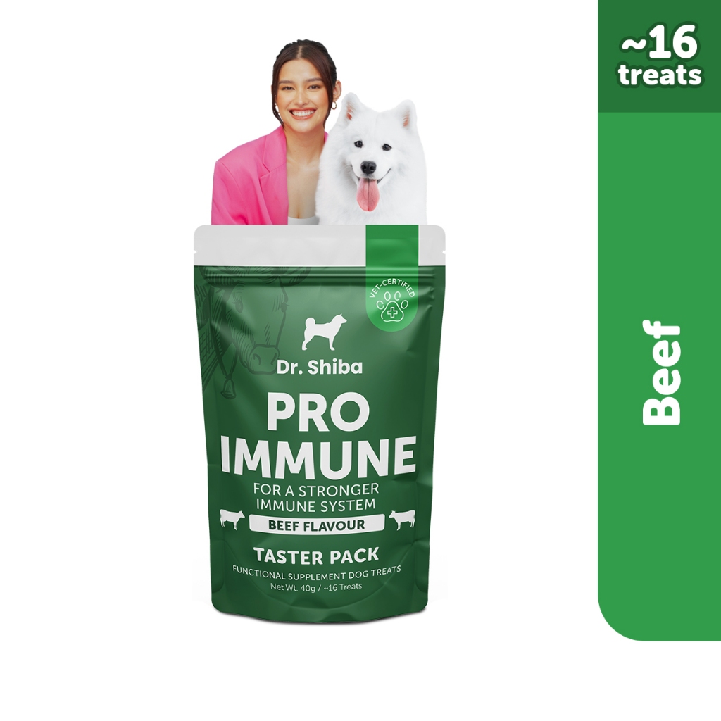 Dr. Shiba Pro Immune Taster Pack- Beef 40g Dog Treats Snack - Dog Food for Immunity Support ...