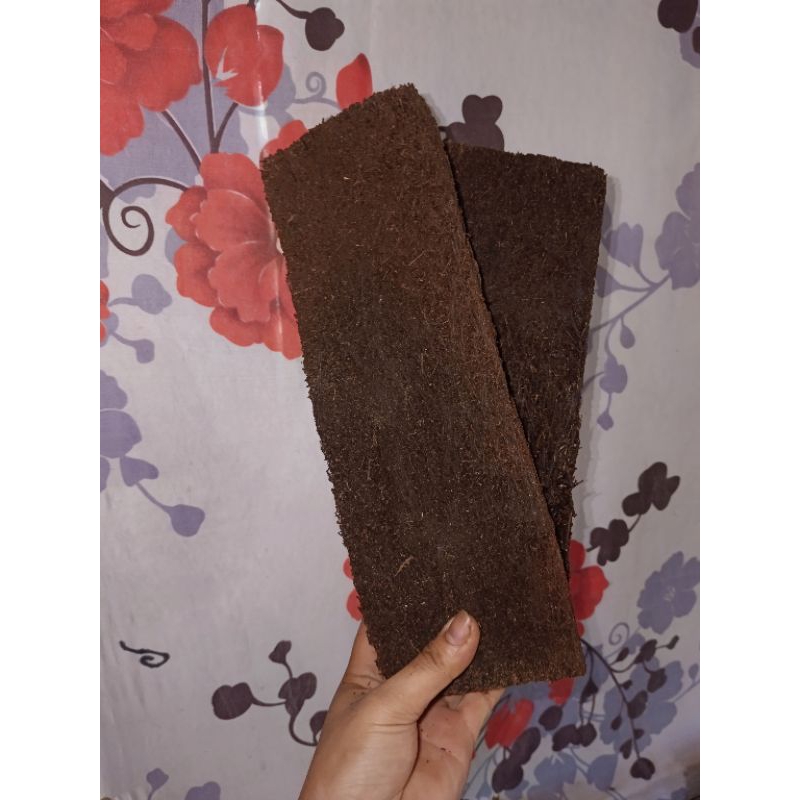Slab Fern for or orchids and fern. | Shopee Philippines