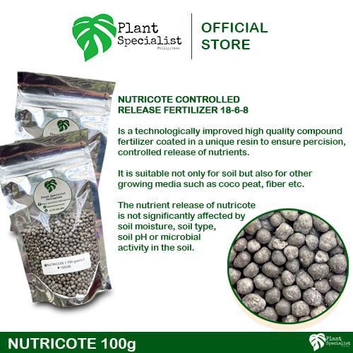 Nutricote Nutrient for Plants | Shopee Philippines