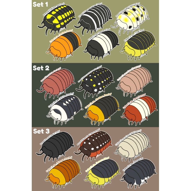 Isopod Label Sticker Set by Exopods | Shopee Philippines