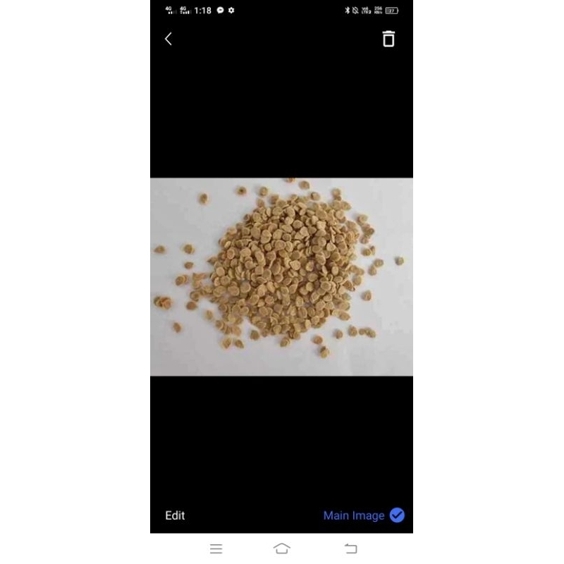 Kamatis/Tomato seeds for planting (25seeds/pack) | Shopee Philippines