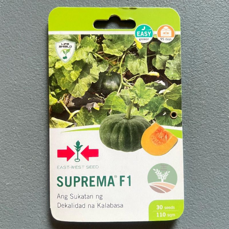SUPREMA F1 EAST WEST HYBRID PUMPKIN SEED SQUASH VEGETABLE SEED SMALL ...