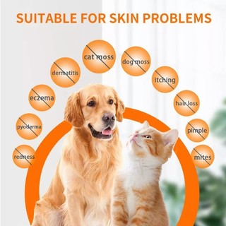 Dog Spray For Skin Disease Gamot Sa Sugat Ng Aso Anti fungal Spray For ...
