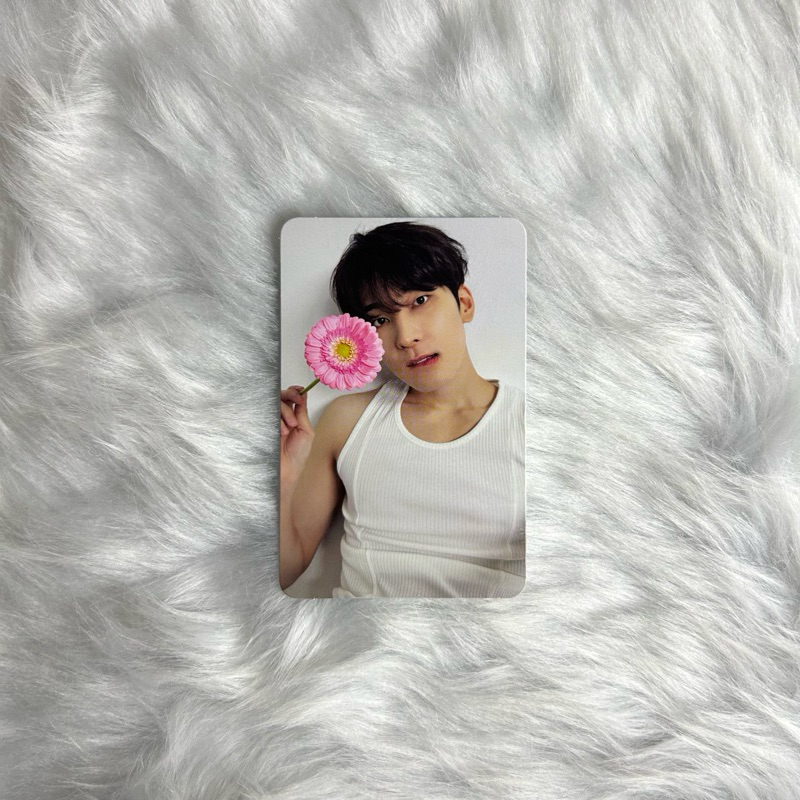 SEVENTEEN WONWOO PHOTOCARD | Shopee Philippines