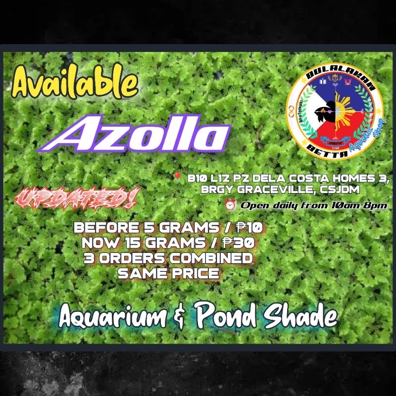 Azolla Floating Plant | Shopee Philippines