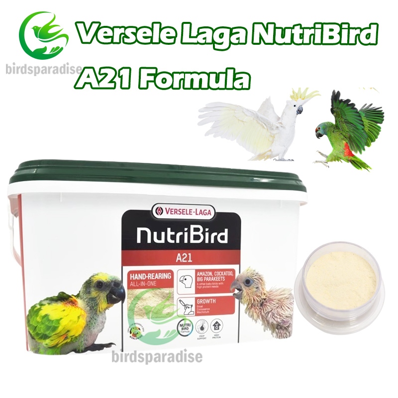 Parrot Versele Laga NutriBird A21 Hand feed Formula for Cockatoos ...