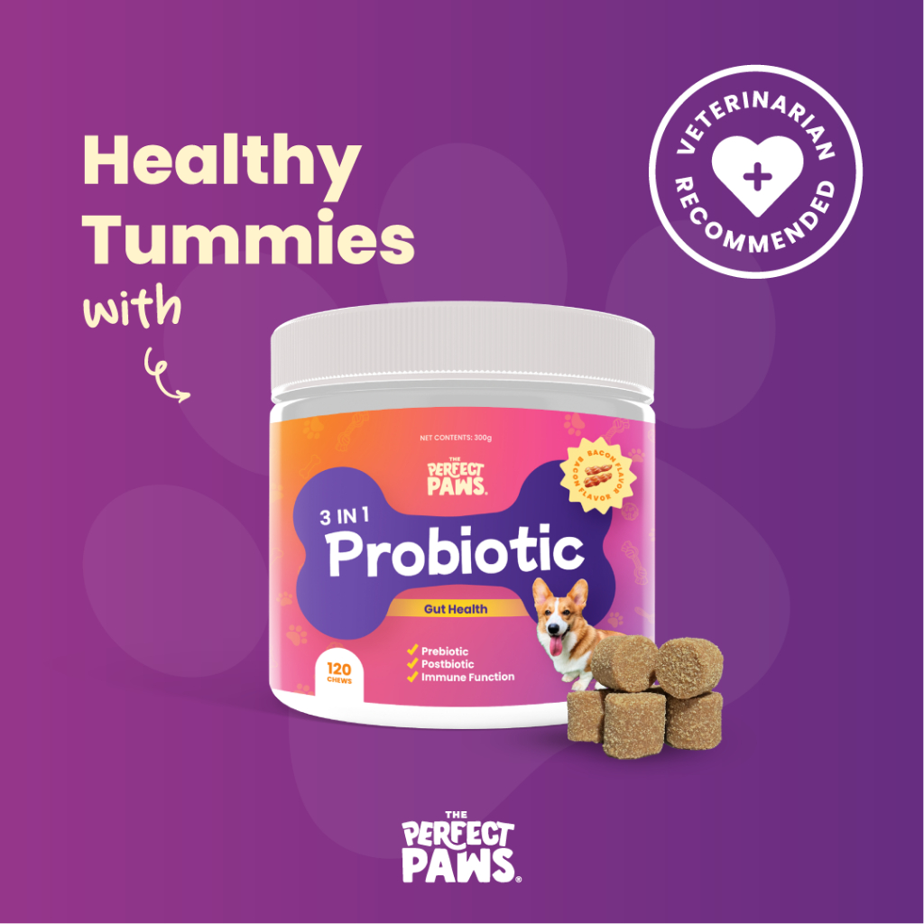 The Perfect Paws 3-in-1 Probiotic for Dogs – 120 Chews | Supports ...