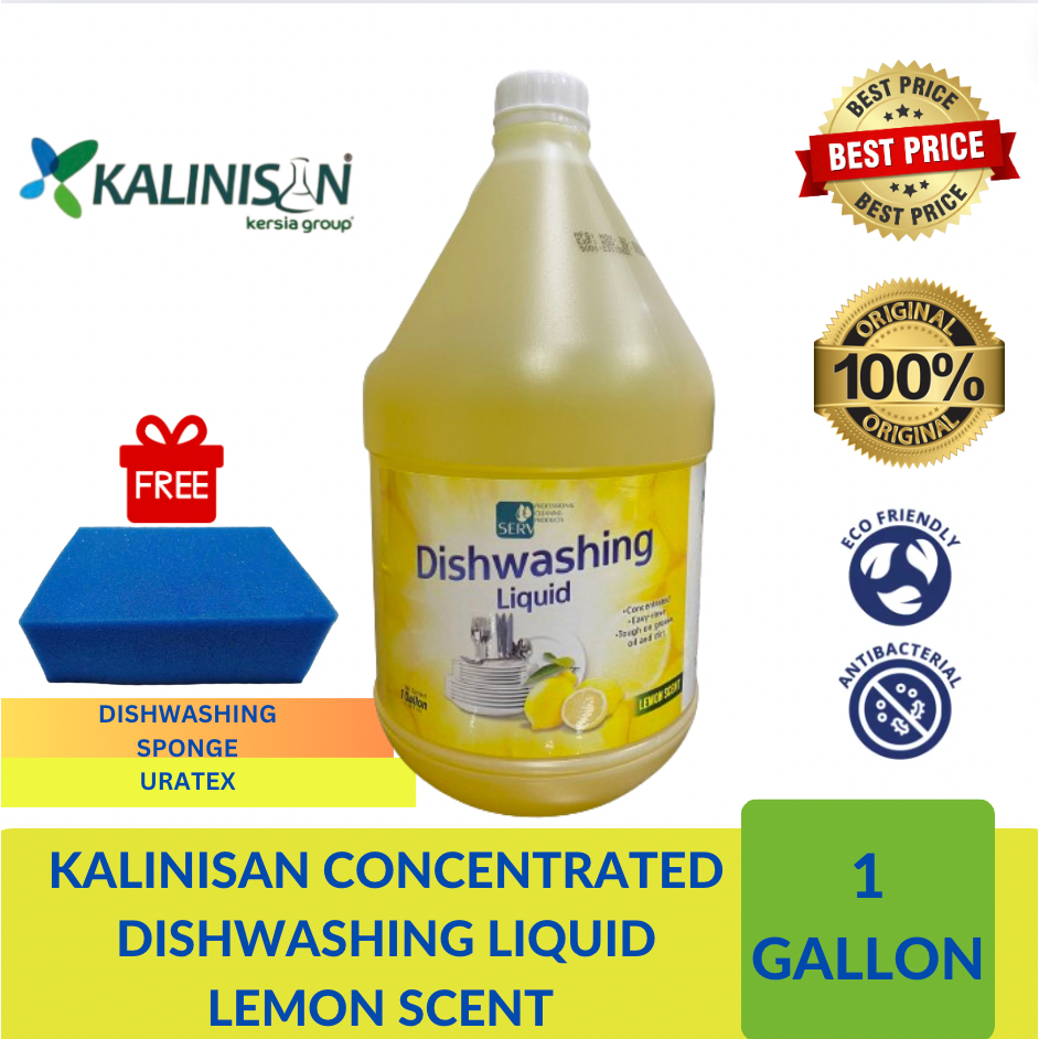 BEST PRICE 100% Original Kalinisan Serv Concentrated Dishwashing Liquid ...