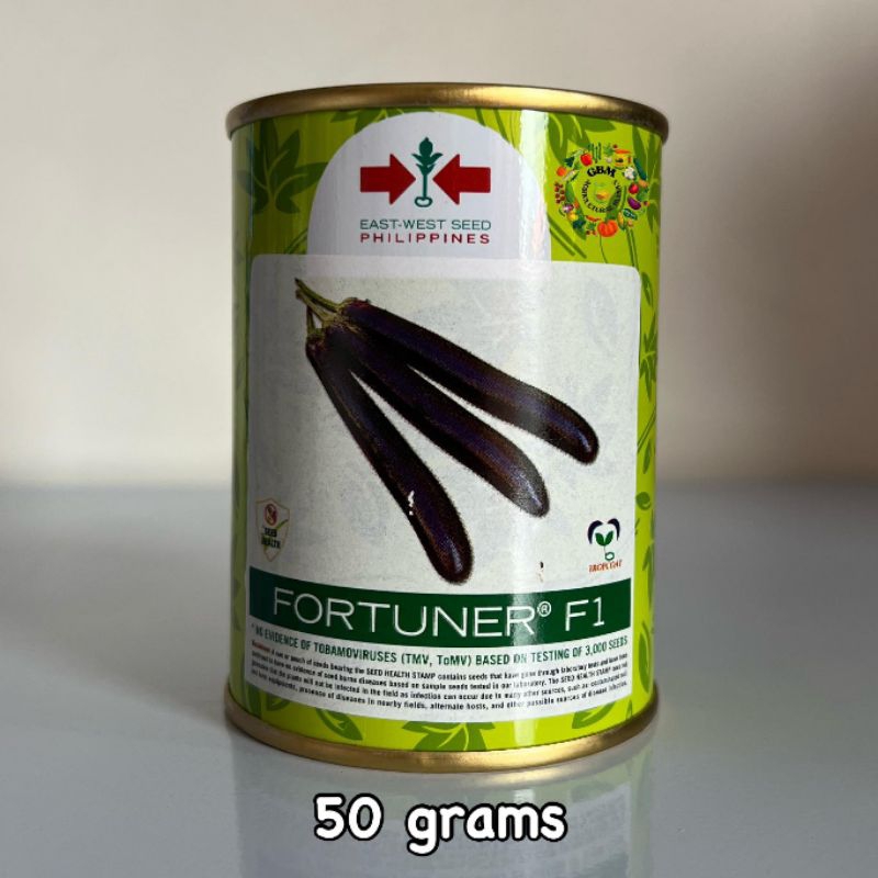EAST WEST FORTUNER F1 (50g) HYBRID EGGPLANT TALONG VEGETABLE SEEDS | Shopee Philippines