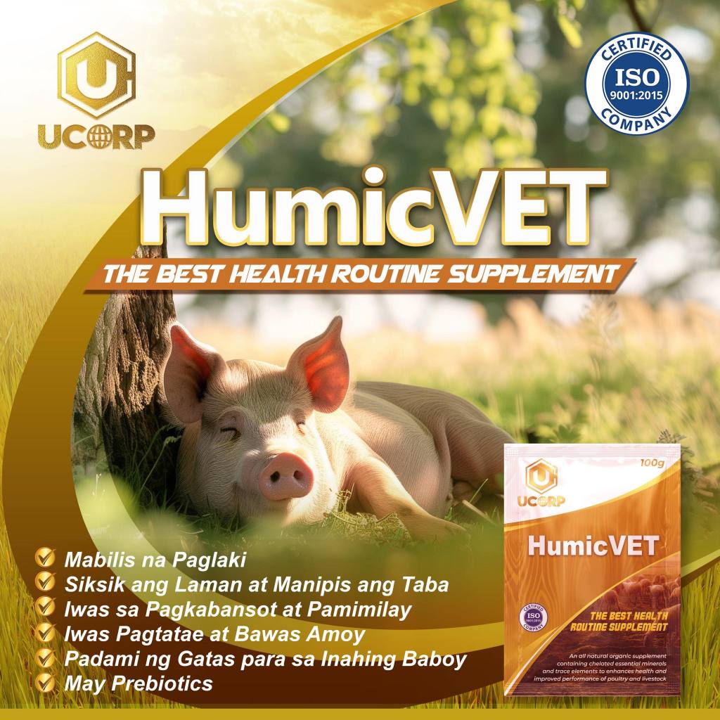 Humicvet Animal Immune Booster Supplement Best For Appetite and Disease ...