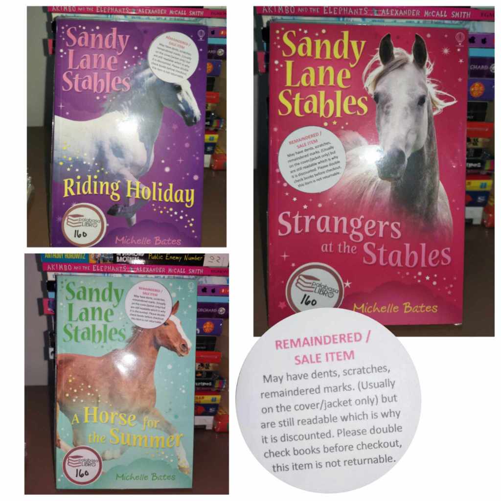 Sandy Lanes Stables A Horse for the Summer Strangers at the Stables ...