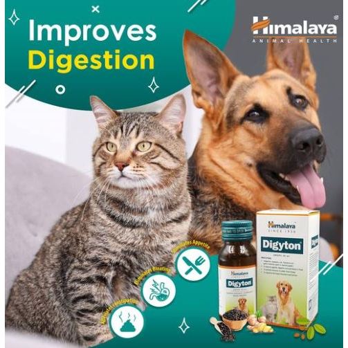 Himalaya Digyton drops 30ml (dogs&cats) | Shopee Philippines