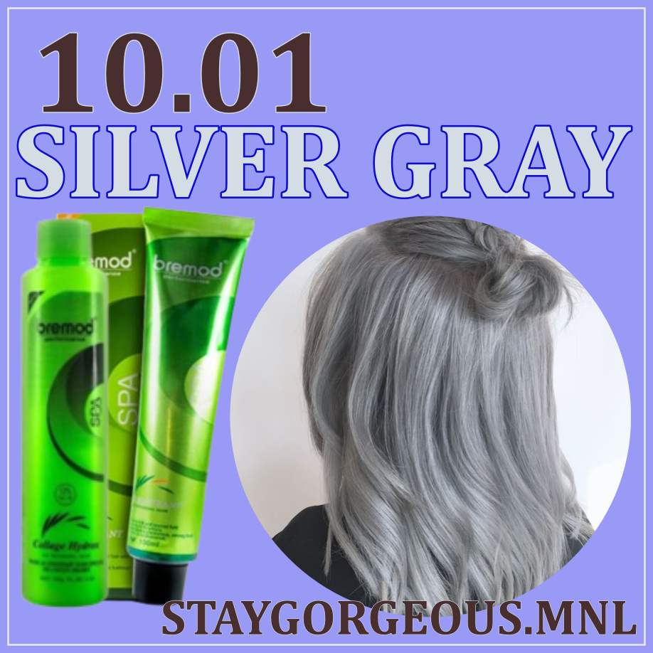 Bremod 10.01 SILVER GREY (SET) WITH OXIDIZING CREAM HAIR COLOR Salon ...