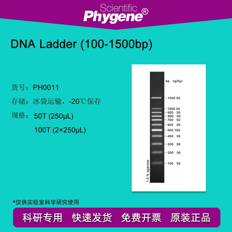 DNA Ladder (100-1500bp) DNA Marker 100T PH0011 | Shopee Philippines