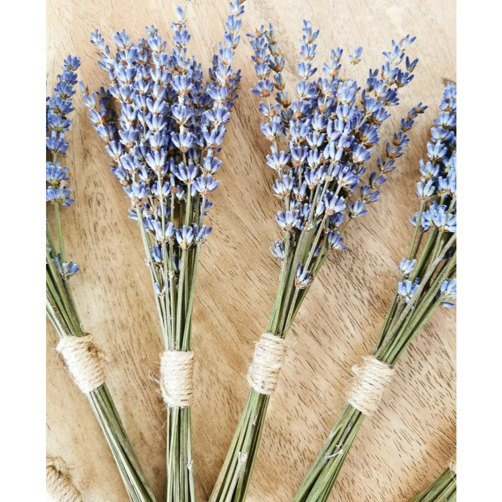MEDIUM Dried Lavender Flower NATURAL/ORIGINAL COLOR {Dried Flower ...
