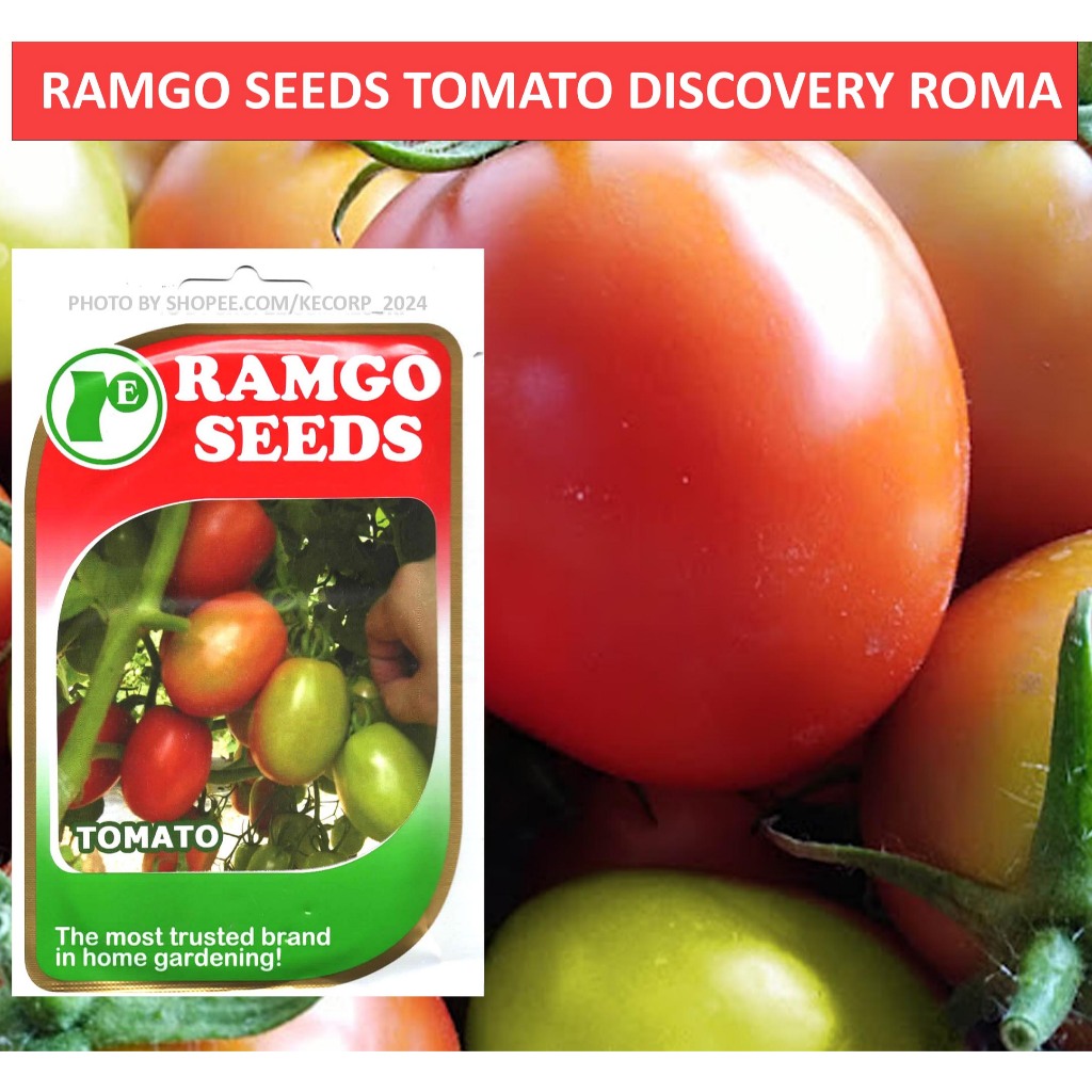 Ramgo RPO Seeds Tomato Discovery Roma 1grams_kc241207 | Shopee Philippines