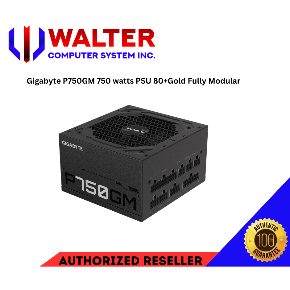 Gigabyte P750GM 750 watts PSU 80+Gold Fully Modular | Shopee Philippines