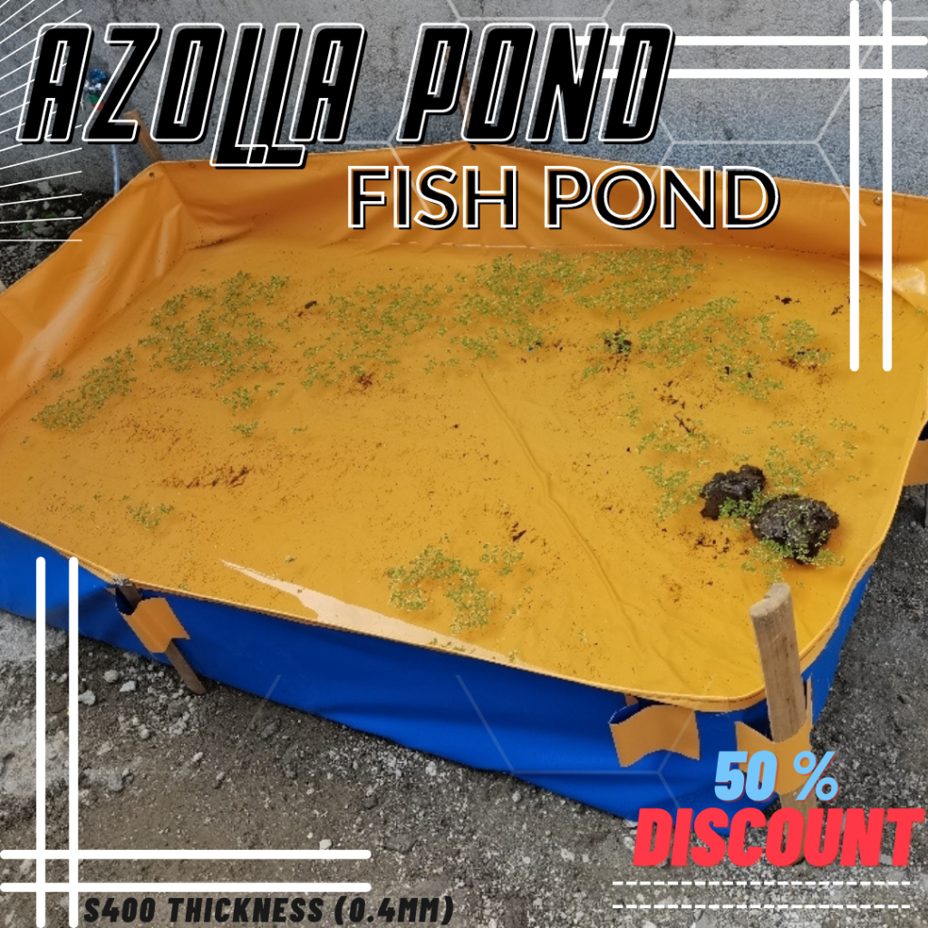 6X12X1Feet 1pc Azolla Pond/Fish Pond Homstar Brand All Purpose - LONG ...