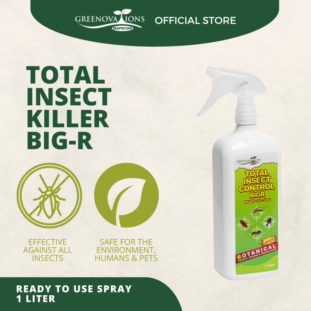 MAPECON BIG-R Total Insect Killer (1 Liter, Ready to Use, Nozzle ...