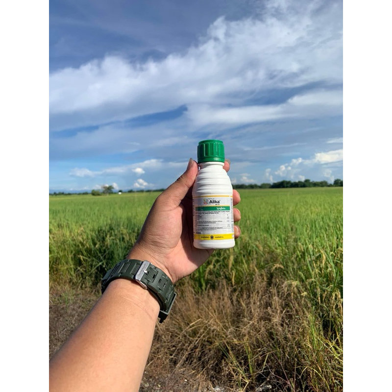 ALIKA 247 ZC INSECTICIDE (100ml) | Shopee Philippines