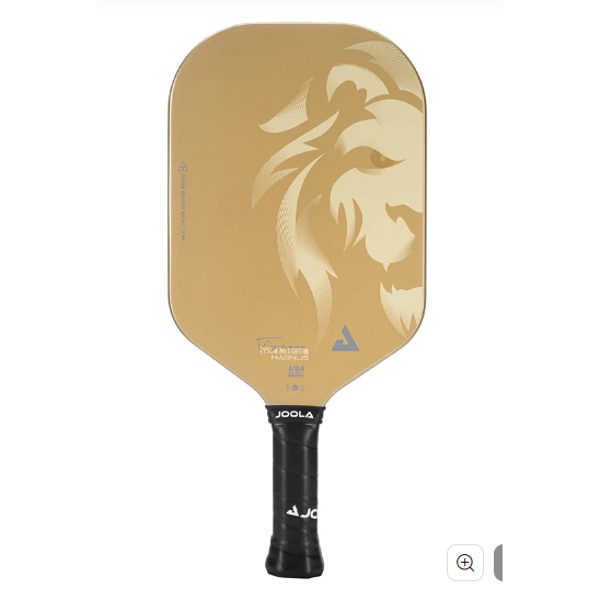 JOOLA PICKLE PADDLE TYSON MCGUFF MAGNUS CAS 14MM | Shopee Philippines