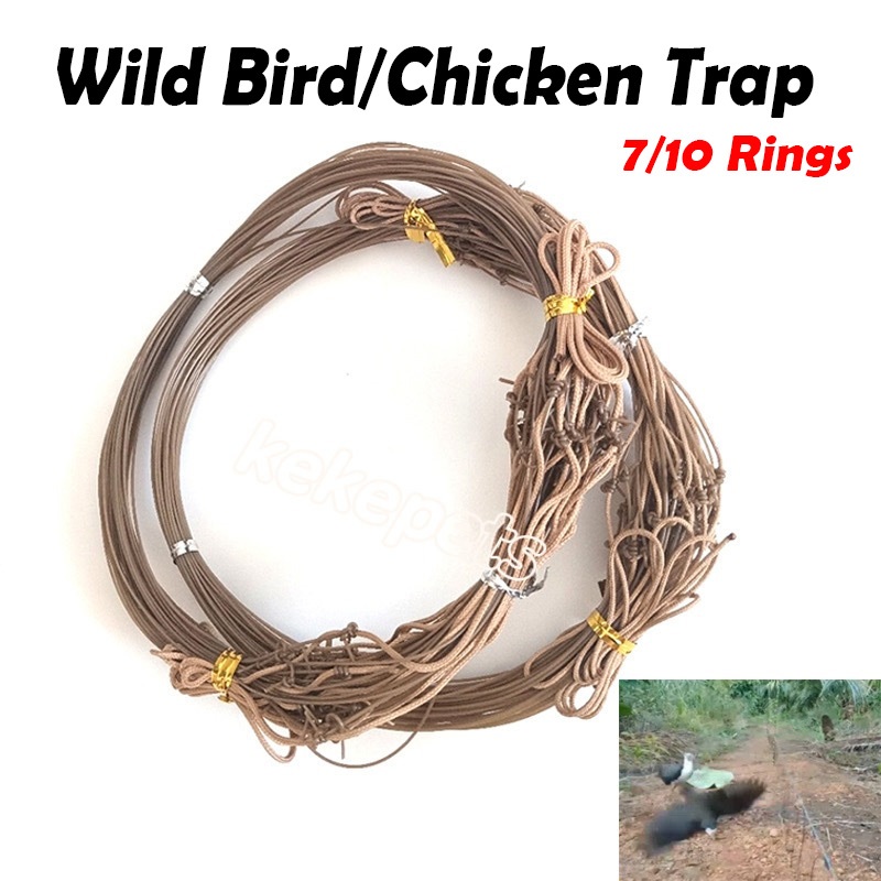 10/7 Rings Wild chicken trap Bird trap for tikling Outdoor Racik Snare ...