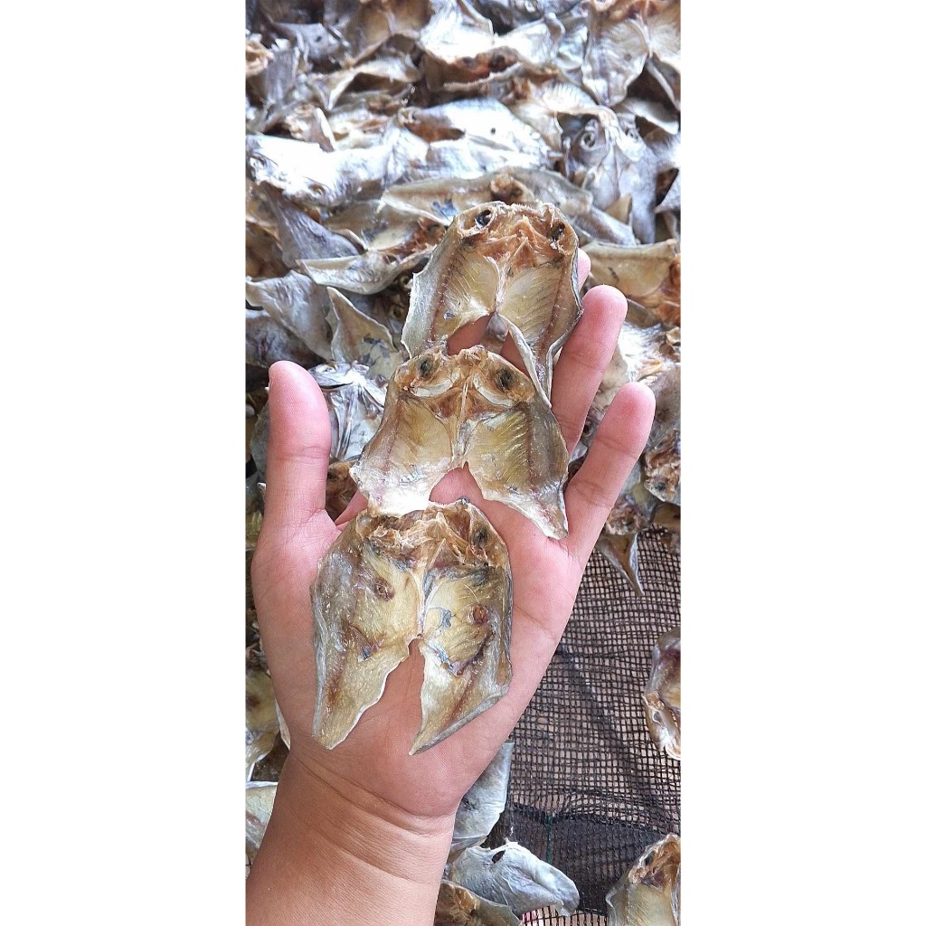 BONELESS DANGGIT BITESIZE UNSALTED from MINDANAO | Shopee Philippines
