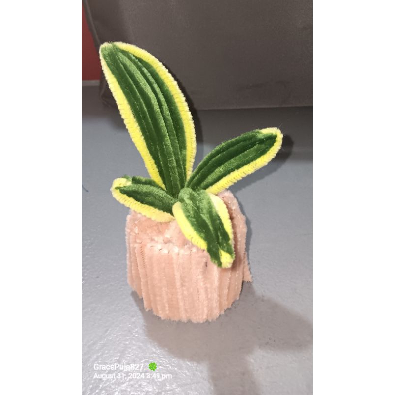 Snake Plant Fuzzy Wire | Shopee Philippines