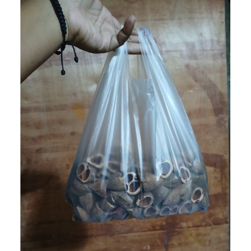 Pili Nuts Shell 5kg (shell ONLY) | Shopee Philippines