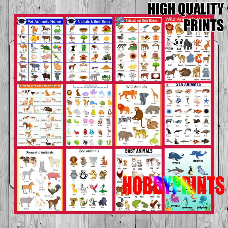 Animals Chart Educational Chart Laminated Glossy | Shopee Philippines
